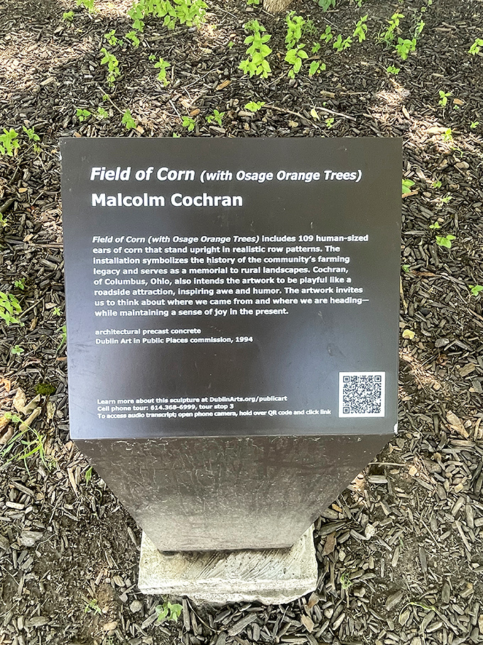 The informational plaque reveals artist Malcolm Cochran's vision: 109 human-sized ears of corn celebrating Dublin's agricultural past while embracing its playful present. 