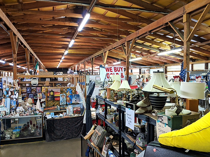 Every nook and cranny filled with possibility. The wooden rafters frame a scene where lamps, collectibles, and curiosities await their new homes.