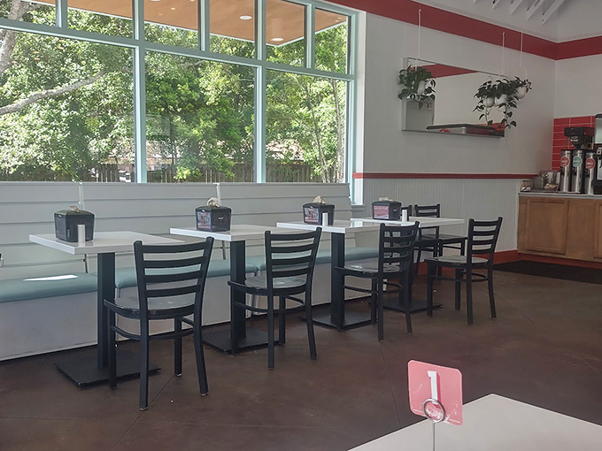 Sunshine streams through large windows, illuminating a dining room designed for one purpose: the serious enjoyment of seriously good food.