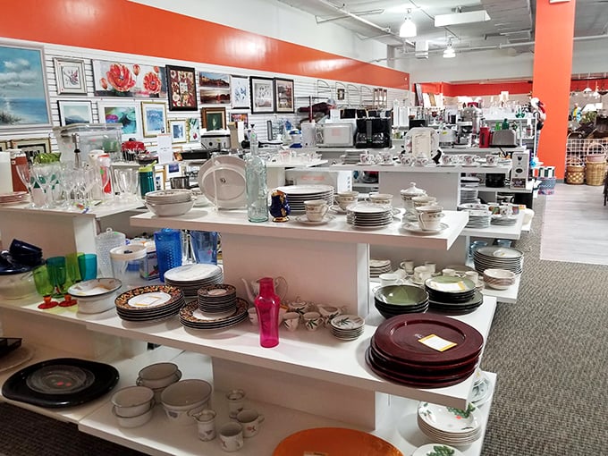 Dish paradise where incomplete sets find new purpose. That burgundy charger plate is just waiting to elevate your Tuesday night takeout to elegant dining.