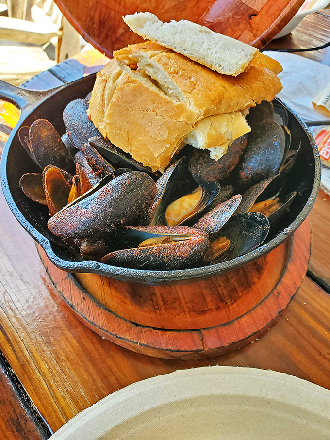 Mussels served with bread for sopping up that can't-waste-a-drop broth. The kind of dish that makes you consider drinking from the bowl when no one's looking.