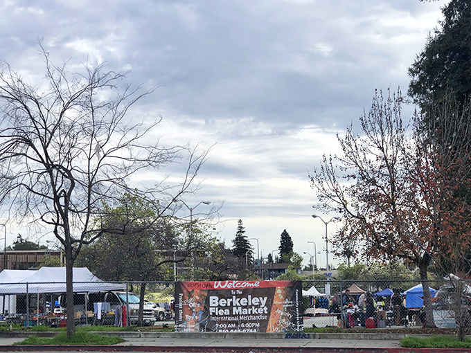 The welcoming banner announces your arrival at Berkeley's weekend institution, where community and commerce have mingled for decades.