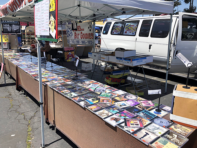 Physical media lives on! These DVDs and CDs are like time capsules of entertainment, waiting for collectors who appreciate analog treasures.