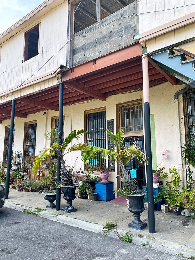 The exterior courtyard feels like stumbling upon a secret garden of vintage treasures, where even the potted palms seem to whisper stories from another time.