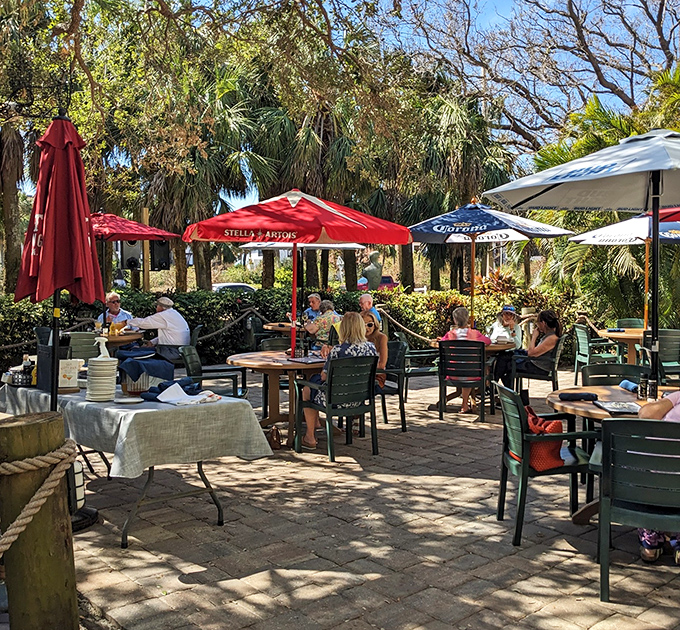 Dappled sunshine filters through palm fronds, creating nature's perfect lighting for outdoor dining that feels like a vacation from your vacation.