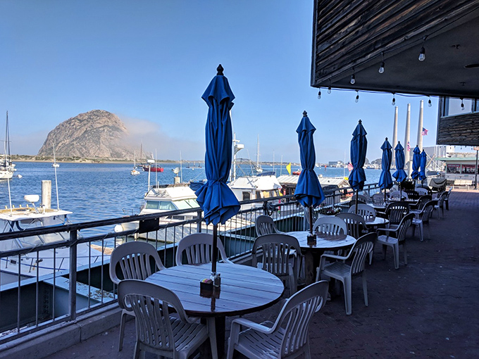 Waterfront dining with Morro Rock views &ndash; because great food tastes even better with spectacular natural scenery.