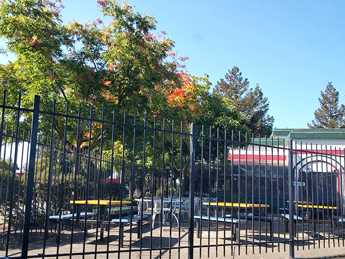 The outdoor area offers a glimpse of California sunshine with your meal. Perfect for those "I can't believe how good this is" conversations.