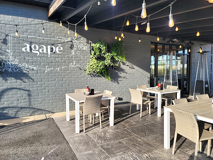 Outdoor dining elevated to an art form. Agapē's patio with its modern furniture, string lights, and greenery creates an oasis for enjoying Pennsylvania's pleasant evenings.