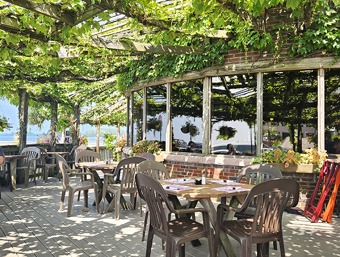 Dappled sunlight filtering through grape vines creates nature's perfect dining canopy&mdash;proof that sometimes the best ceiling is no ceiling at all.