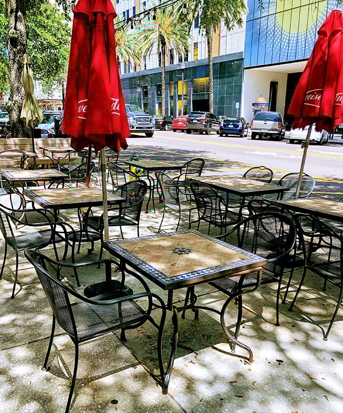 Dappled sunlight filtering through palm trees creates the perfect setting for enjoying The Galley's offerings al fresco.