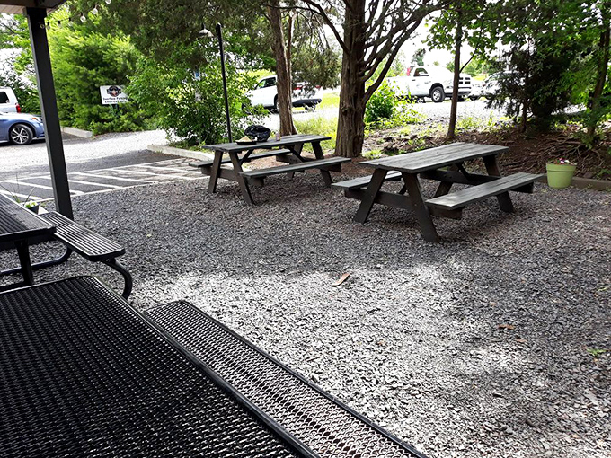 Picnic tables where memories are made between bites. Simple outdoor seating that lets Pennsylvania's fresh air enhance your barbecue experience.