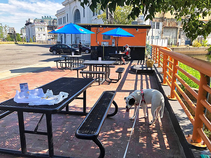 Outdoor picnic tables with a view of the Delaware River&mdash;where dogs are welcome and sandwiches taste even better in the sunshine. 