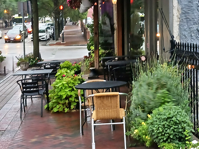 Sidewalk seating surrounded by greenery creates an urban oasis where you can watch Baltimore life unfold between bites of croissant.