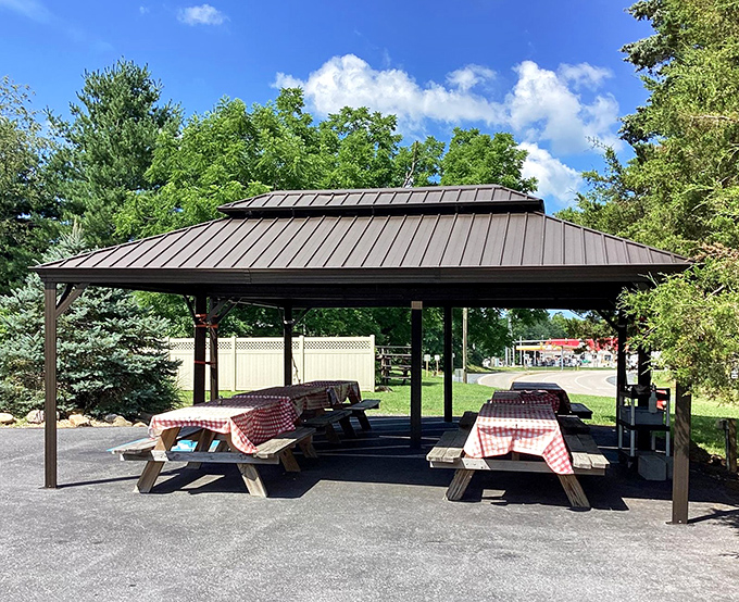 Red-checkered tablecloths under a pavilion roof&mdash;because sometimes the only thing better than German food is German food enjoyed outdoors.
