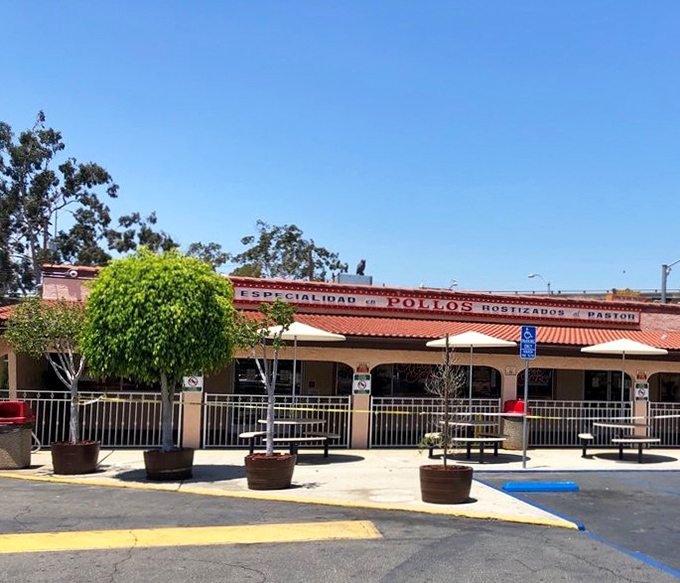 Outdoor seating under the California sun. Where strangers become friends united by their love of authentic Mexican flavors.