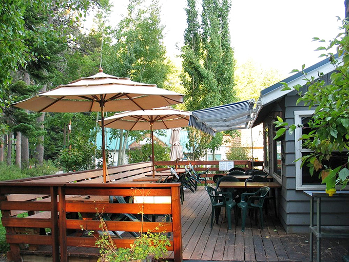 Summer dining perfection on the deck, where towering pines provide the soundtrack and mountain air seasons every bite with Tahoe magic.