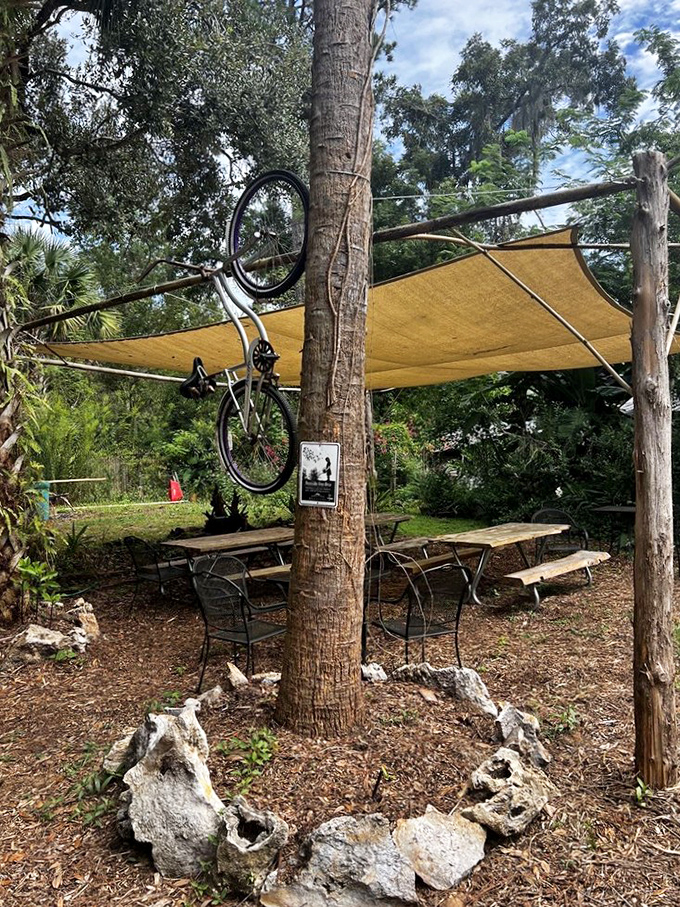 Outdoor seating under a canopy of Florida greenery, where a bicycle hangs like functional sculpture. Nature's dining room improves every bite and sip.