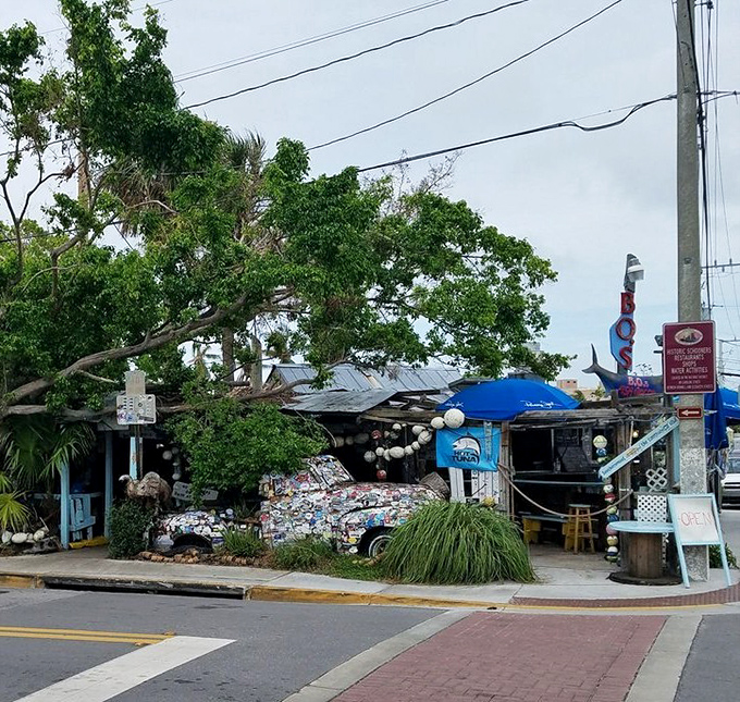 From the street, B.O.'s looks like it might not survive another strong breeze &ndash; but locals know it's weathered decades of storms and tourists.