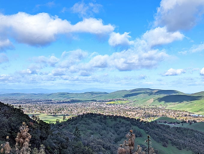 The patchwork of suburban development below reminds you why escaping to places like Mount Diablo occasionally is essential for maintaining sanity.