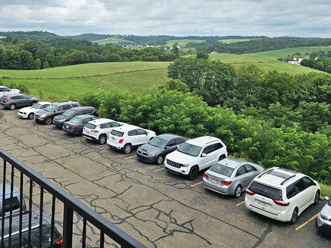 A parking lot that tells the story: license plates from everywhere, united by universal hunger.