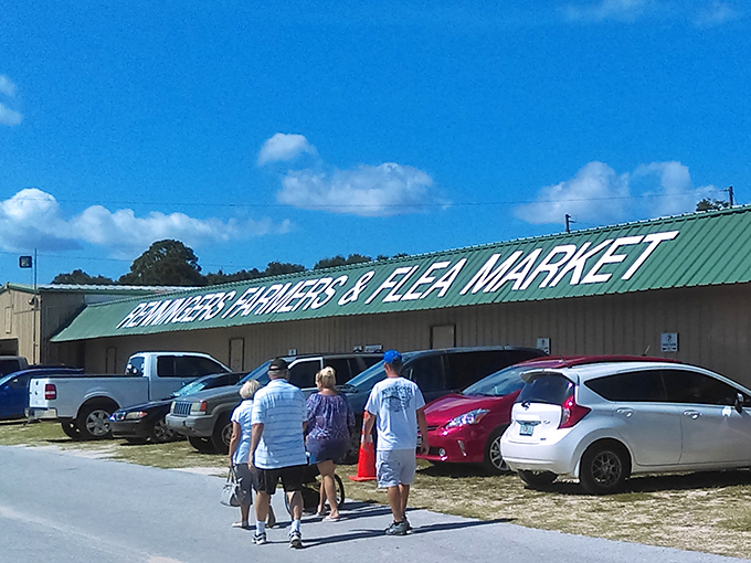 The promised land appears on the horizon as shoppers make their pilgrimage across the parking lot. Empty hands now, full cars later.