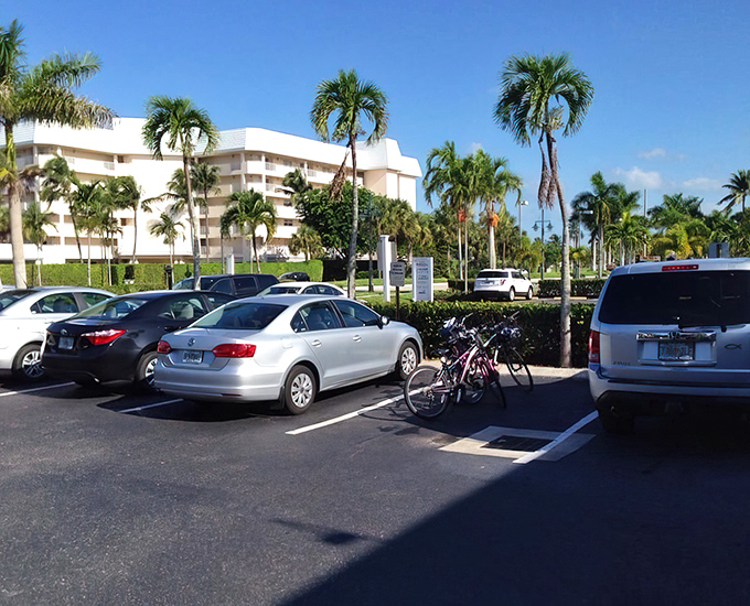 The parking lot view that says, "Yes, you found the place all the locals were trying to keep secret." Those palm trees are basically applauding your good taste.
