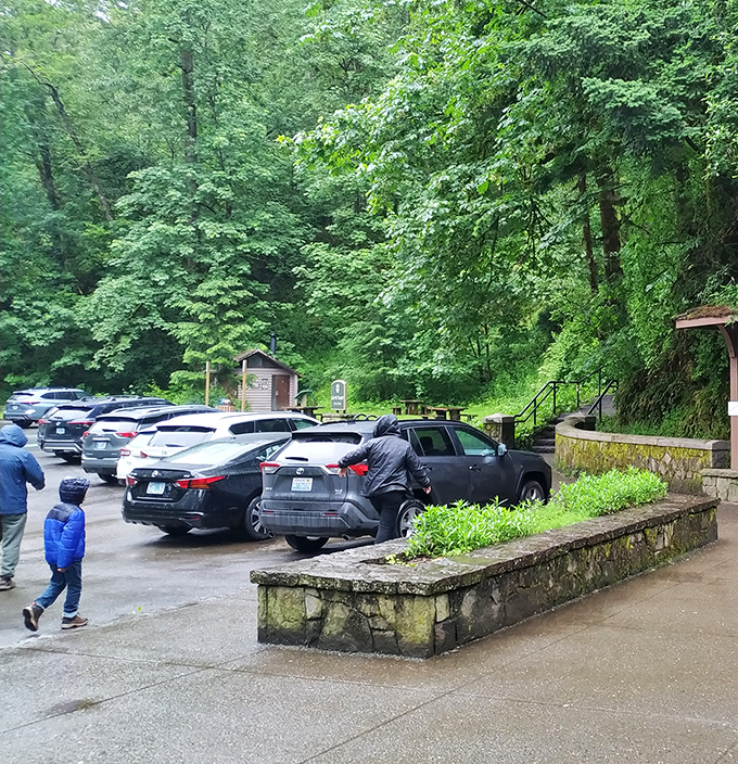 The journey begins here: The parking area might seem mundane, but it's actually the gateway to wonder&mdash;like the lobby before a spectacular theater performance.