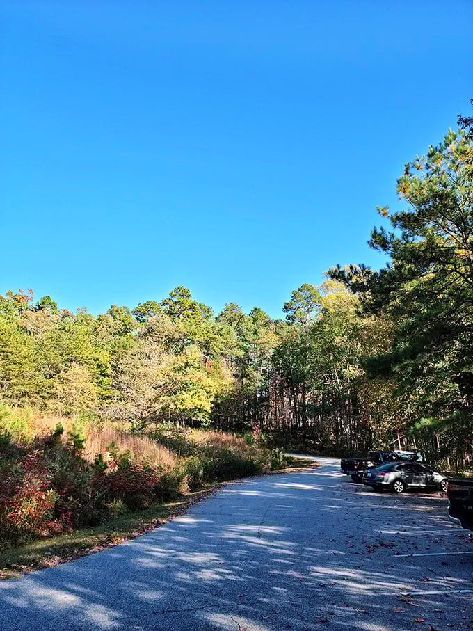 The road less traveled, but still paved for your convenience. This winding park drive delivers you to adventure without requiring a 4x4.