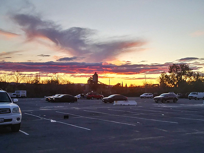 The parking lot stretches like an asphalt sea, where empty trunks arrive with optimism and depart filled with the day's discoveries.