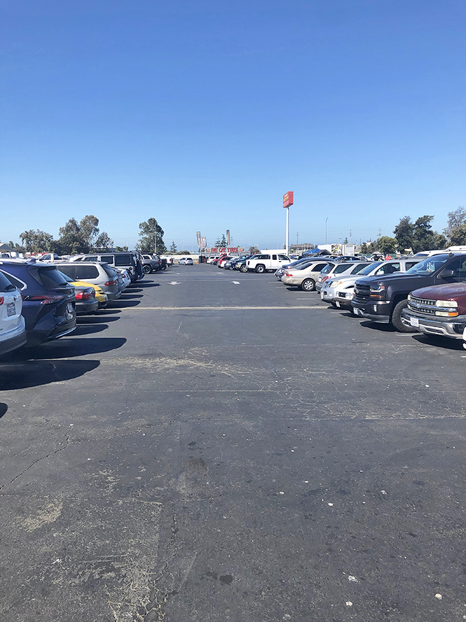 The parking lot fills early with hopeful shoppers. Like Black Friday without the trampling, these spaces become hot property by mid-morning.