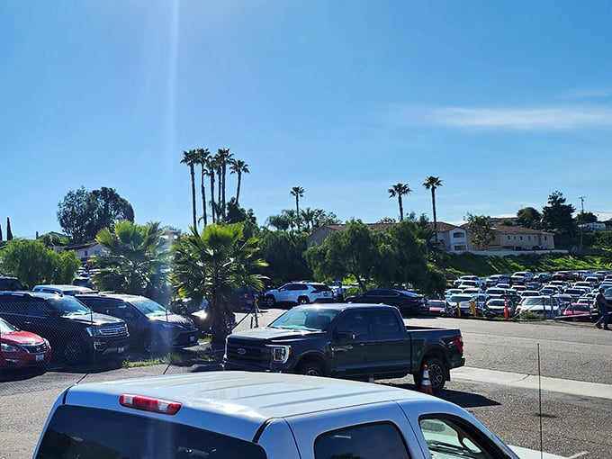 The packed parking lot tells the real story&mdash;this isn't just shopping, it's a weekend institution. California sunshine included at no extra charge.