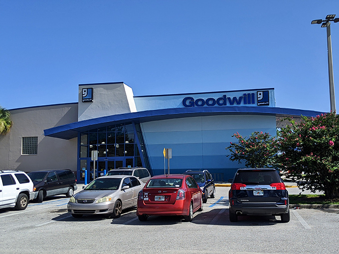 Bicycle brigade stands ready for eco-friendly adventures, proving sustainable transportation never goes out of style completely.