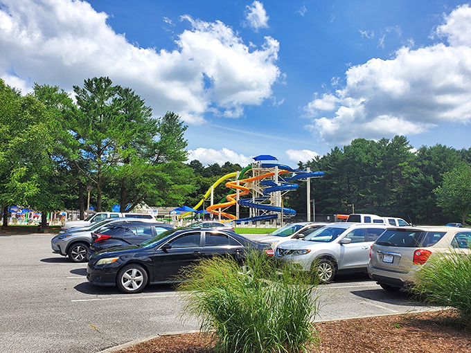 Parking lot with a promise: Each vehicle represents a family making memories that will outlast the inevitable "are we there yet?" from the backseat.