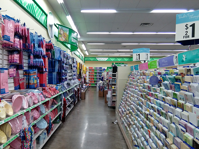 Party supply paradise! Everything you need to host a gathering that looks Pinterest-worthy without the social media influencer budget.