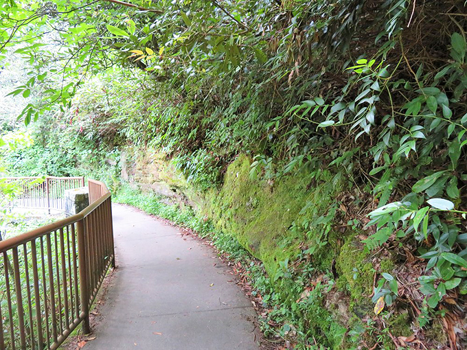 The moss-lined pathway to paradise: nature's red carpet leading to one of her most spectacular performances.