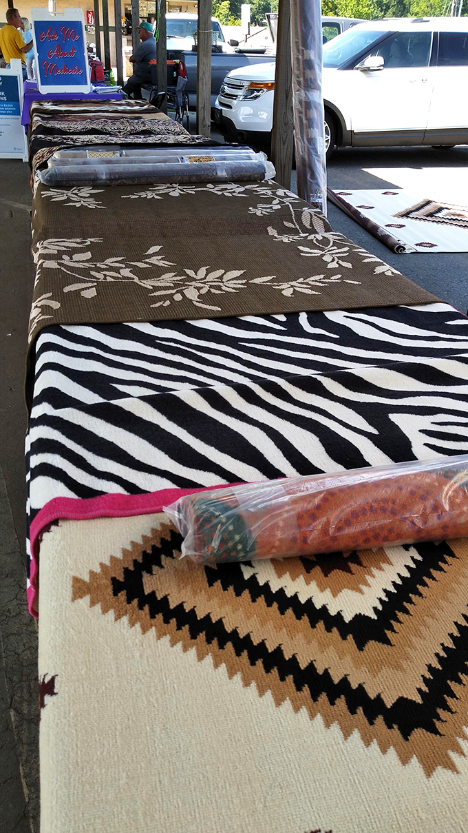 Textile treasures spanning every design era. From zebra chic to southwestern patterns&mdash;your next statement piece awaits discovery.