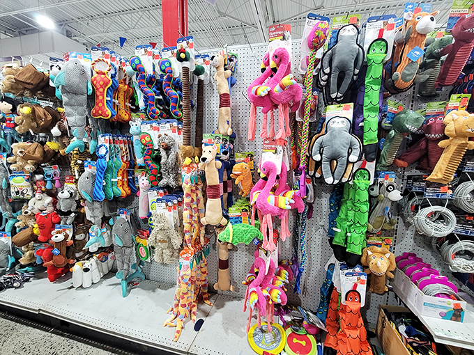Pet toy paradise! This wall of colorful critters will have your four-legged friends thinking you've won the lottery—no need to tell them otherwise.
