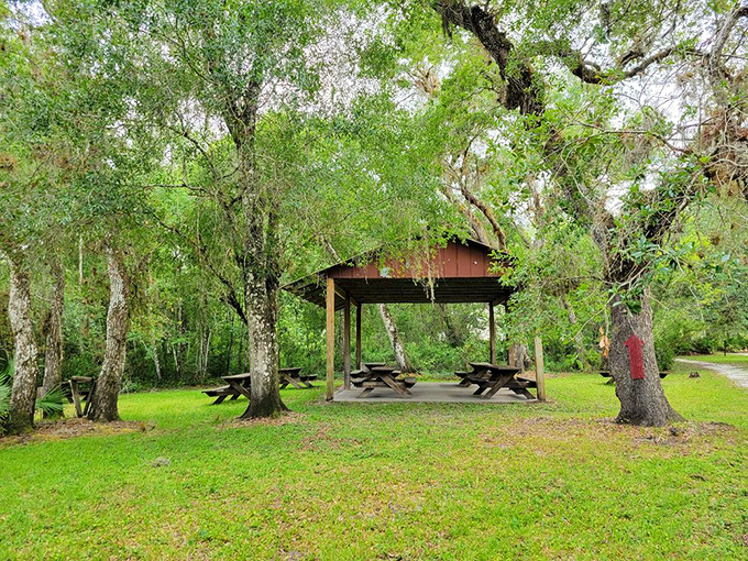 Al fresco dining where the entertainment is provided by Mother Nature herself.