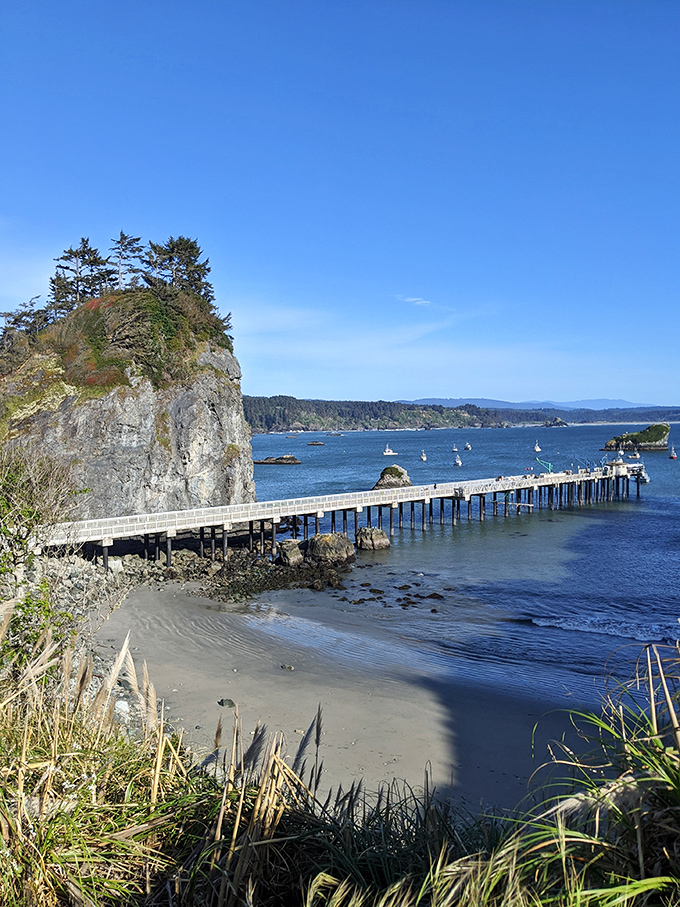 Trinidad's historic pier stands as a testament to this fishing community's enduring relationship with the sea.