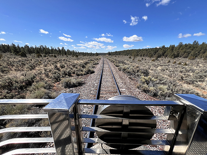 The rear platform view stretches to infinity, twin rails converging at a vanishing point somewhere between here and possibility.