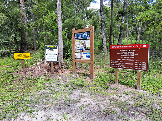 Even the park signs seem excited to share this natural treasure with you.