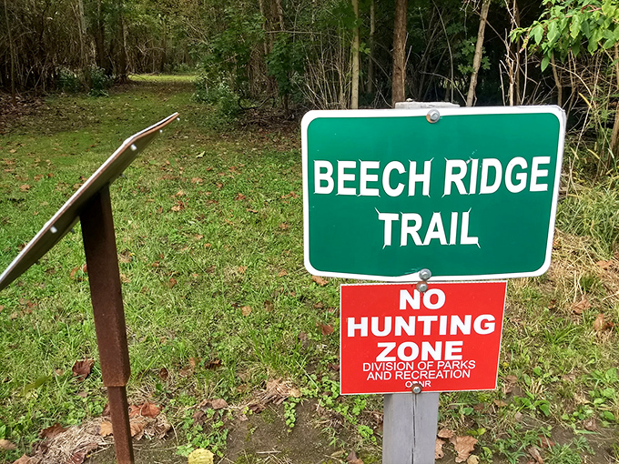 The Beech Ridge Trail sign offers both invitation and boundary. Nature's playground comes with just a few sensible rules.