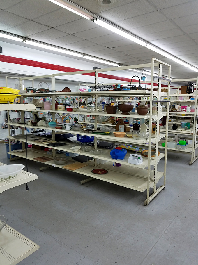 Kitchen equipment galore! From barely-used wedding gifts to grandma's cast iron, these shelves hold the secret ingredients to budget-friendly cooking.