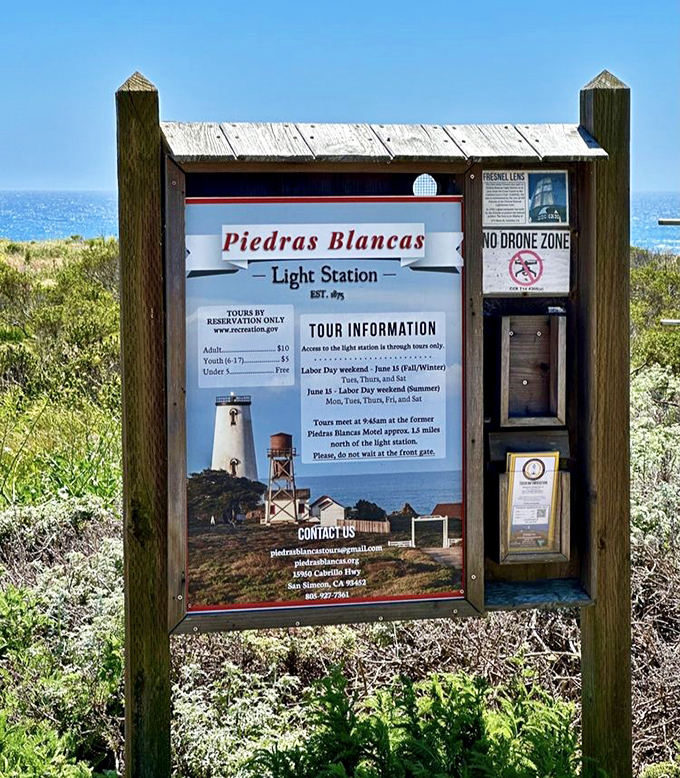 Clear signage means you won't miss a thing, though the "No Drone Zone" might disappoint aspiring pilots.