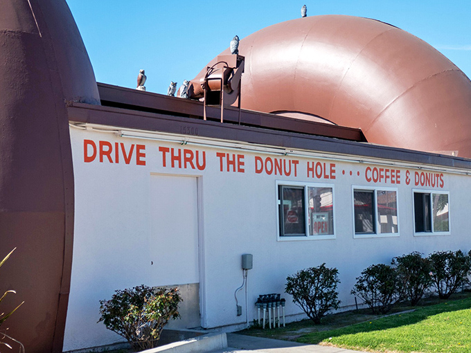 "Drive Thru The Donut Hole"&mdash;possibly the most literal and enticing instruction you'll ever follow on a California road trip.