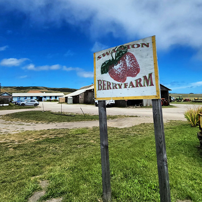 The sign says it all&mdash;simple, rustic, and promising delicious things ahead. No fancy marketing needed when your berries speak for themselves.