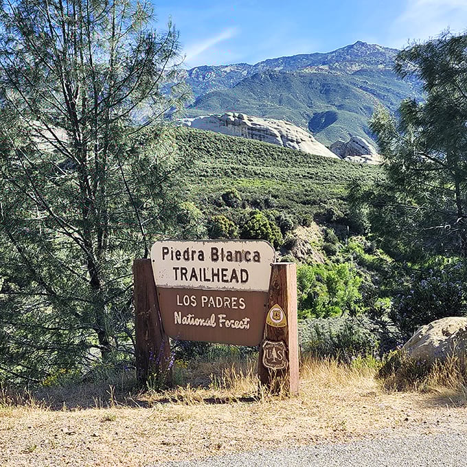 Your adventure starts here! This weathered sign marks the boundary between ordinary life and the extraordinary wilderness of Los Padres National Forest.