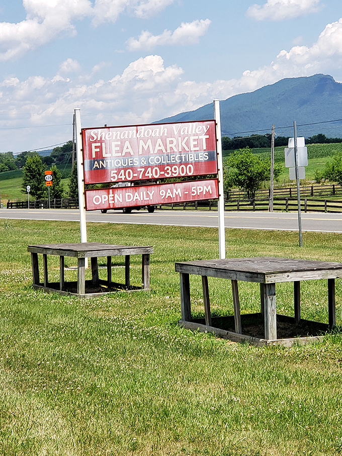 Against the backdrop of the Blue Ridge Mountains, this roadside beacon calls to collectors and curiosity-seekers alike.