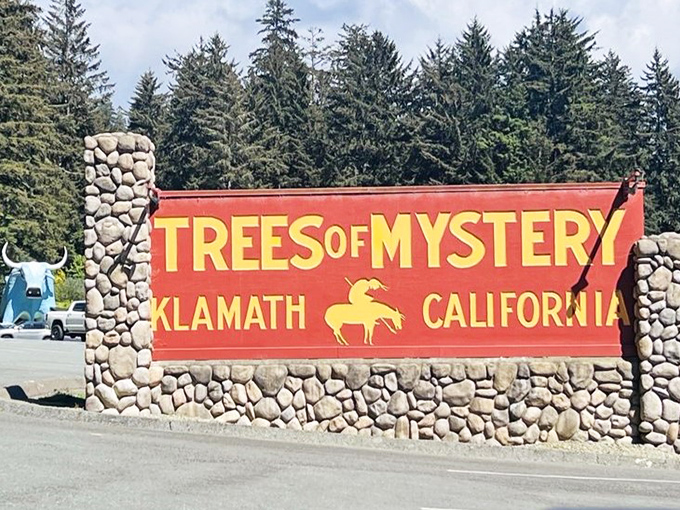The iconic entrance sign promises mystery and delivers magnificence, standing as the perfect gateway to California's most vertical adventure.