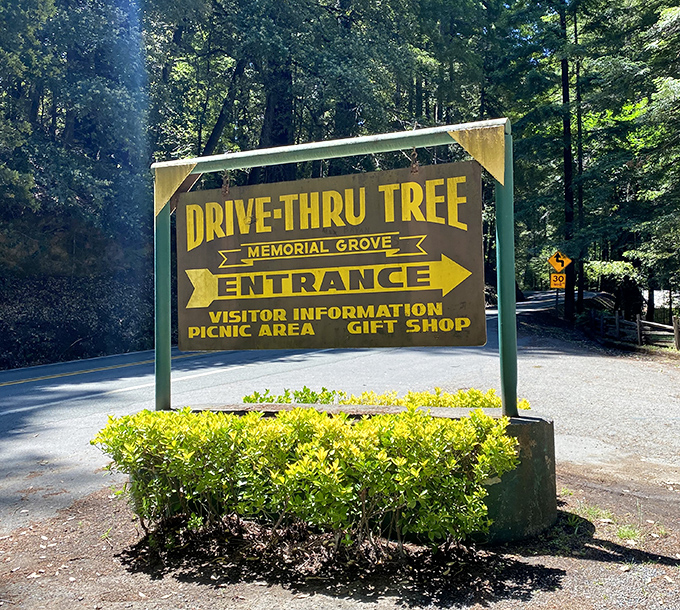 The sign that launches a thousand road trips. This entrance marker has photobombed family vacation albums for generations of California explorers.
